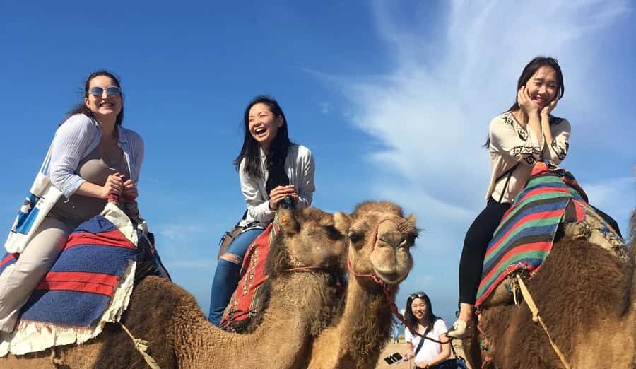 Tangier Private Half-Day Tour + Camel Ride + Add-on: Lunch - Who Will Love This Tour?