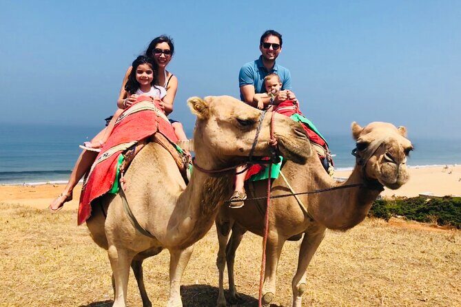 Tangier Private Tour from Malaga or Marbella w/ guide and driver - The Sum Up