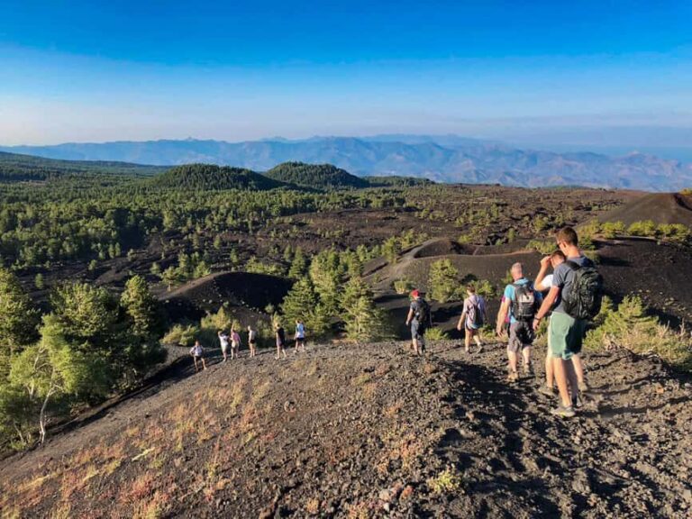 Taormina: Mount Etna and Alcantara Gorge Day Trip - The Practicalities: Value, Comfort, and Flexibility