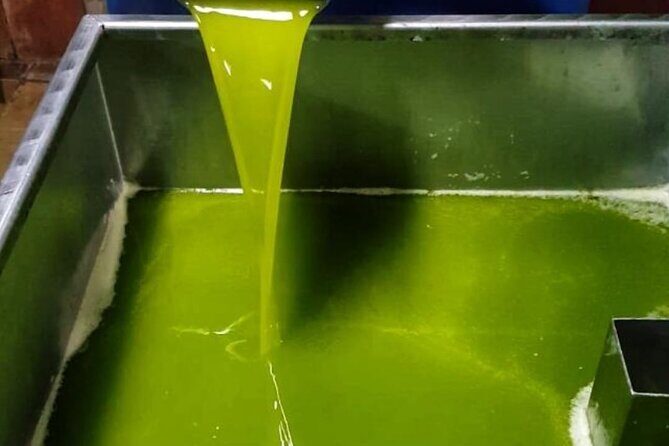 Tarragona Culinary Experience: Olive Oil & Iberian Ham Delight - What Makes This Tour Special?