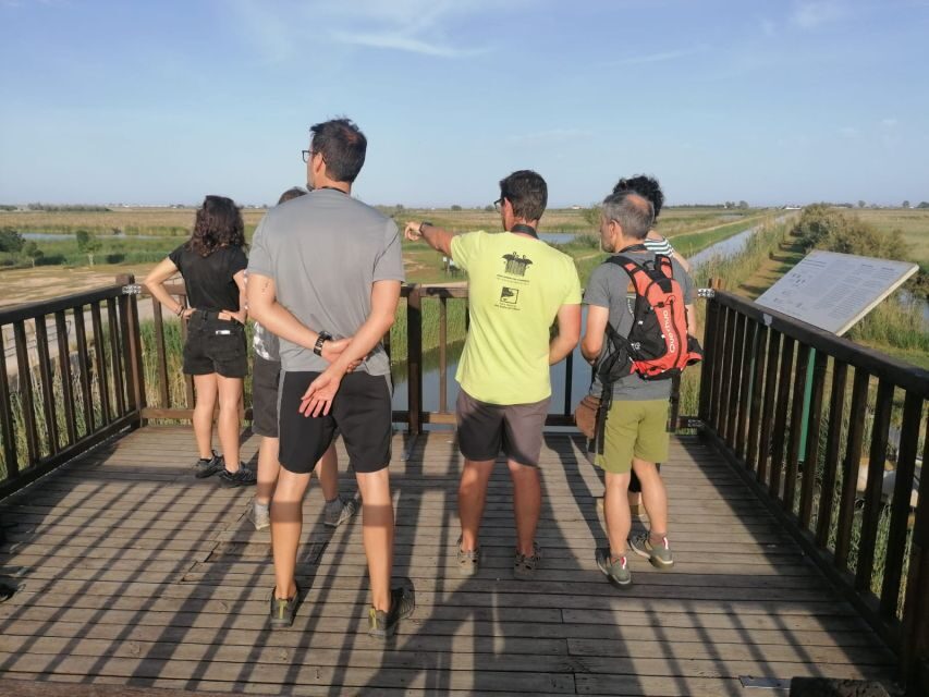 Tarragona: Southern Delta Birdwatching Private Tour - The Value of the Experience