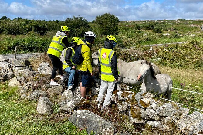 Taste of Connemara Tour by Electric Fat Tyre Bike - Practical Details and What You’ll Experience