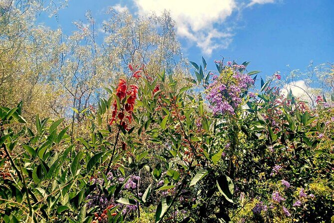 Taste Tradition 4 Wineries and Tapas Bar - Final Thoughts