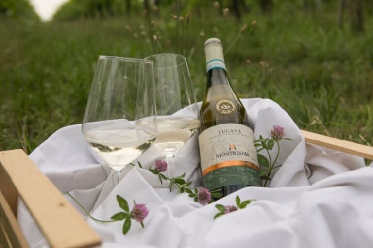 Taste with us Bardolino, Chiaretto and Lugana near Verona - What You Can Expect During the Tour