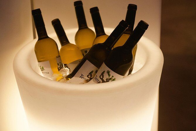 Tastes of Lisbon - Private food Tour - Who Will Love This Tour