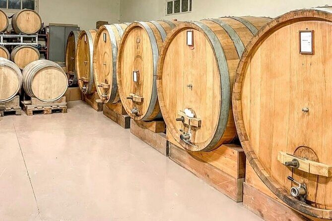 Tasting of 7 wines in the Langhe and visit to the cellar - The Experience in Detail