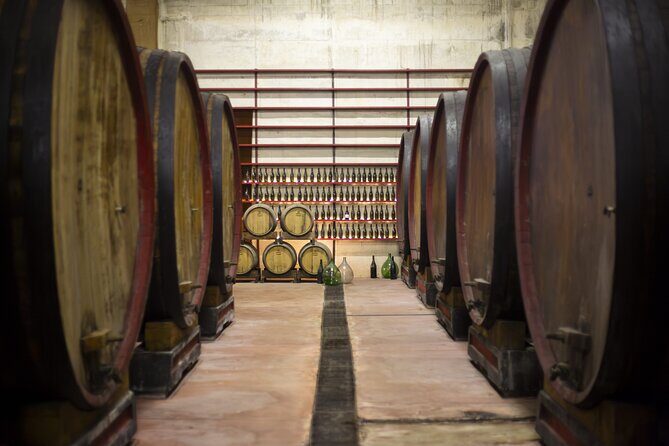 Tasting of Rosso Piceno DOC Superiore - Villa Pigna winery - Final Thoughts