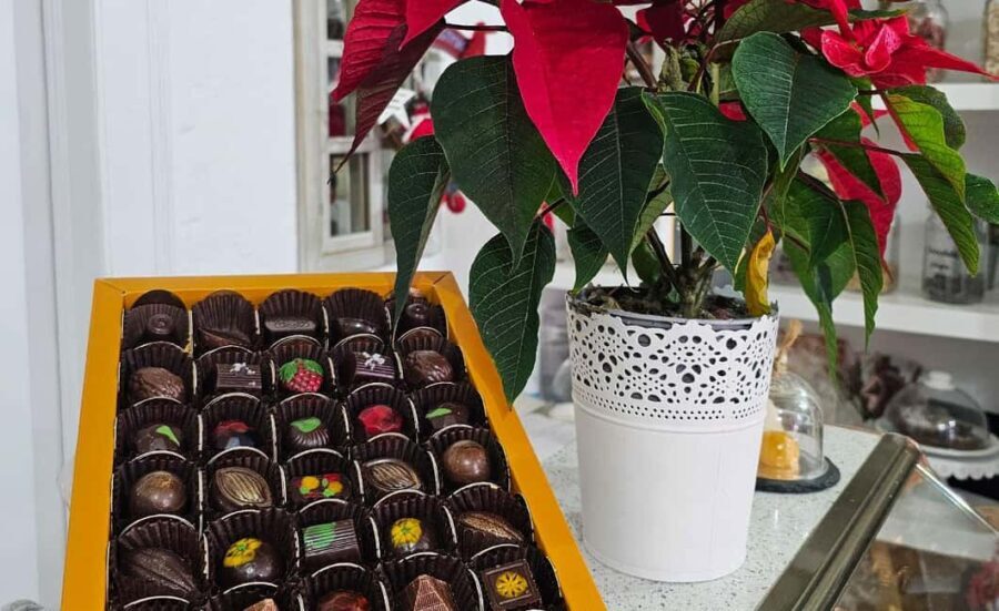 Tavira City & Chocolate - A Detailed Look at the Itinerary