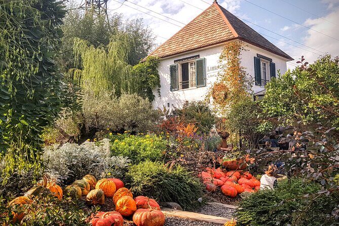 Tbilisi Lakes and Sightseeing tour - An In-Depth Look at the Tbilisi Lakes and Sightseeing Tour