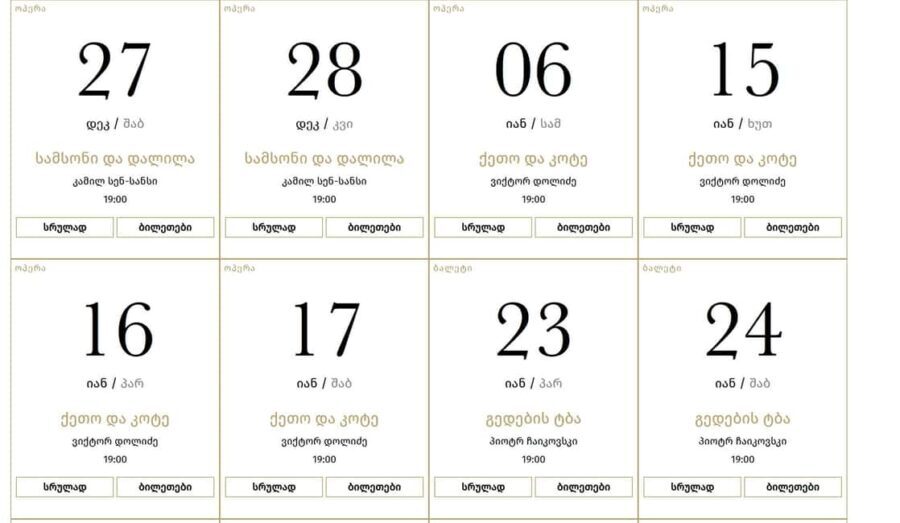 Tbilisi Opera & Ballet  Entry Ticket & Guided Tour Option - The Experience of the Performances