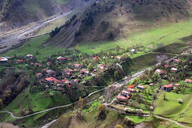 Tbilisi to Kazbegi, Gudauri, and Ananuri Day Tour - Transport and Group Size