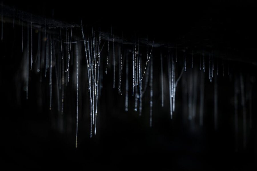 Detail of glowworm webs glowing in the cave ceiling