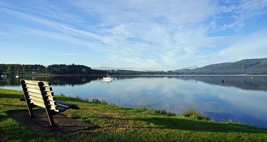 Lake Te Anau shore at dawn with reeds and quiet water