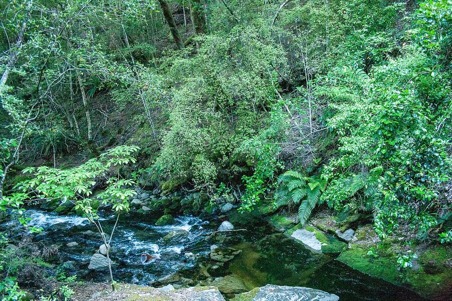 Surroundings of the Te Anau Glowworm Caves on the western shore of Lake Te Anau