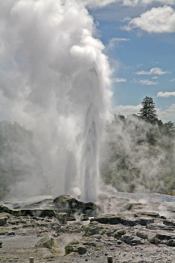 Pohutu Geyser at Te Puia in the Whakarewarewa thermal valley