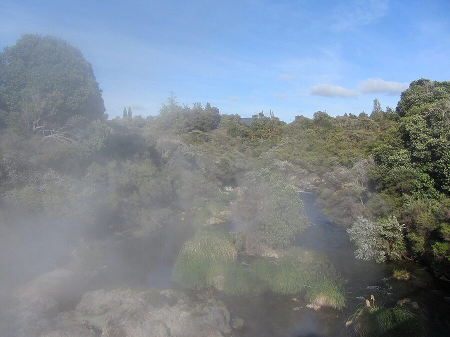 Bubbling mud pool at Te Puia geothermal valley, Rotorua