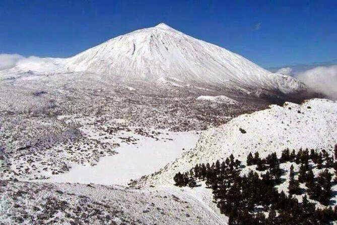 Teide 1/2 Day - In-Depth Itinerary: What You’ll See and Do
