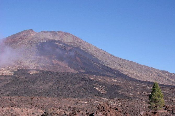 Teide essential Shore Excursion VIP TOUR - The Experience: What Travelers Say