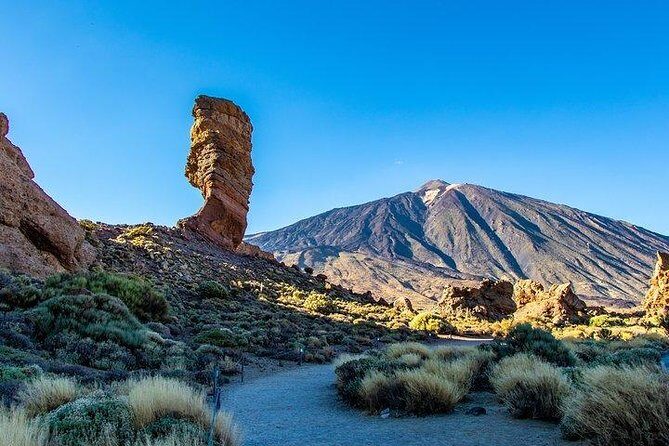 Teide-Icod-Garachico-Masca (Most popular bus tour in Tenerife) - The Experience in Detail