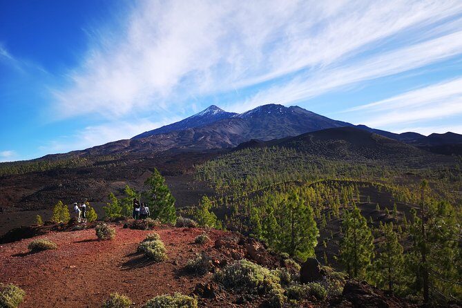 Teide National Park for smaller groups - The Transportation & Logistics