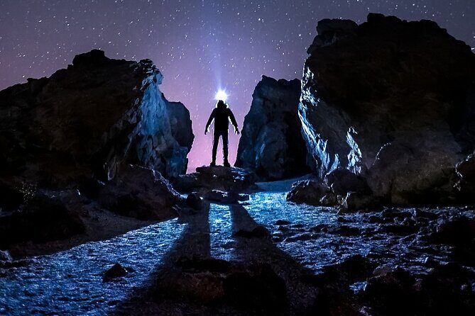 TEIDE NIGHT Astronomy Stargazing Bus Tour, Meal & Drinks included! - Why We Think This Tour Offers Good Value