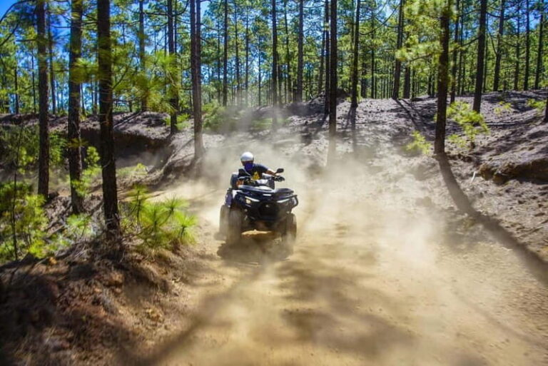 Teide Quad Tour - Tenerife - Exploring the Itinerary and Experience