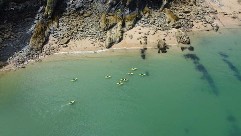 Tenby: Guided Kayaking Adventure - The Itinerary Breakdown: What to Expect