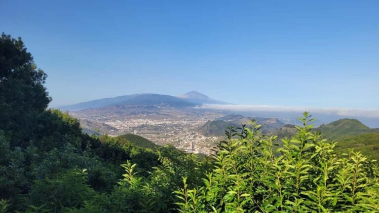 Tenerife Anaga Mountains: Circular Hike in the Laurel Forest - Small Group 10-12 P - The Landscape of Anaga: What Makes It Special?