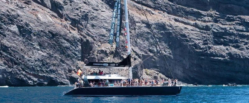 Tenerife: Catamaran Cruise with an Open Bar - Food & Drinks – Whats Included?