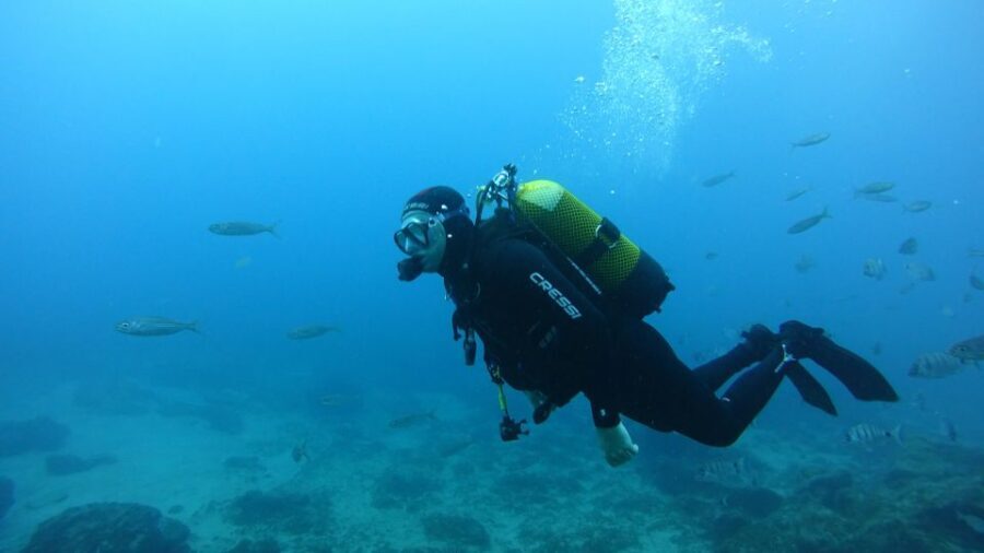 Tenerife: Discover Scuba Diving with Free Photos - Analyzing the Value