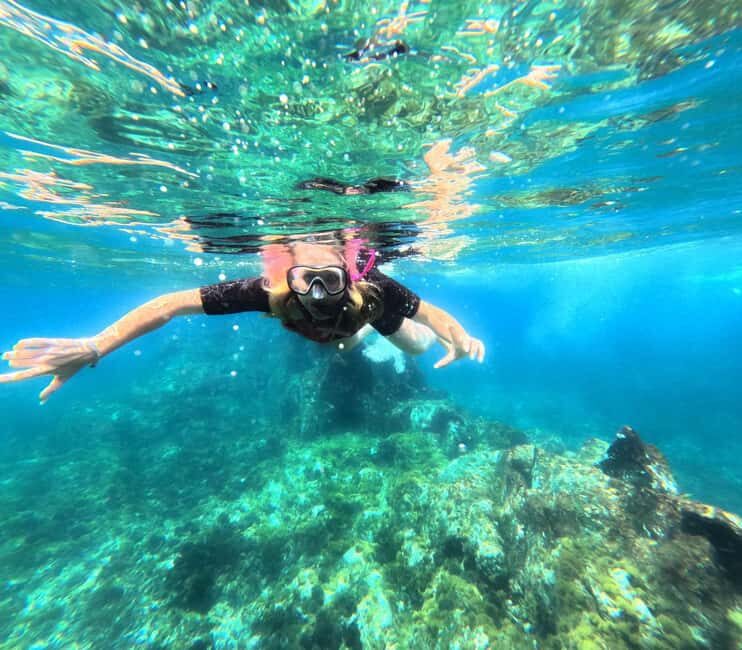 Tenerife: Eco Kayak & Snorkeling - Detailed Breakdown of the Tour Experience