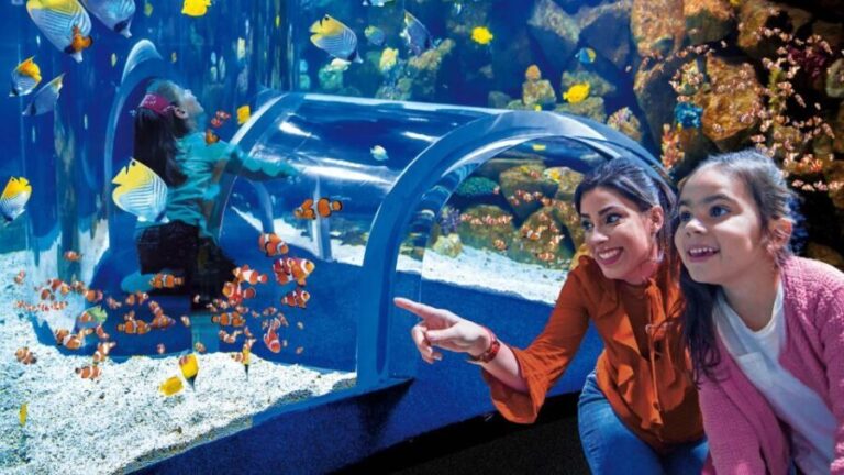 Tenerife: Gran Canaria Full-Day Guided Tour with Aquarium - Practical Details and What to Expect