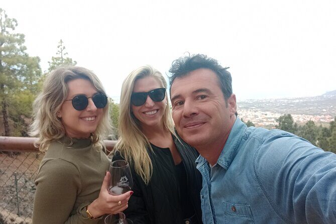 Tenerife Highlights VIP Custom Private Tour - photos included - The Sum Up: Who Will Love This Tour?