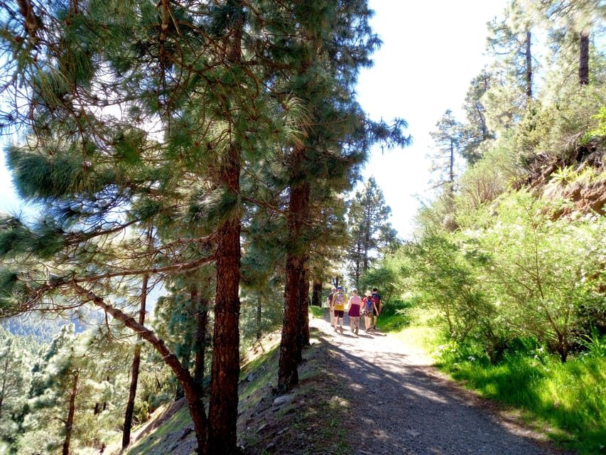 Tenerife: Hiking Above the Village of Masca - Stunning Views at Every Turn