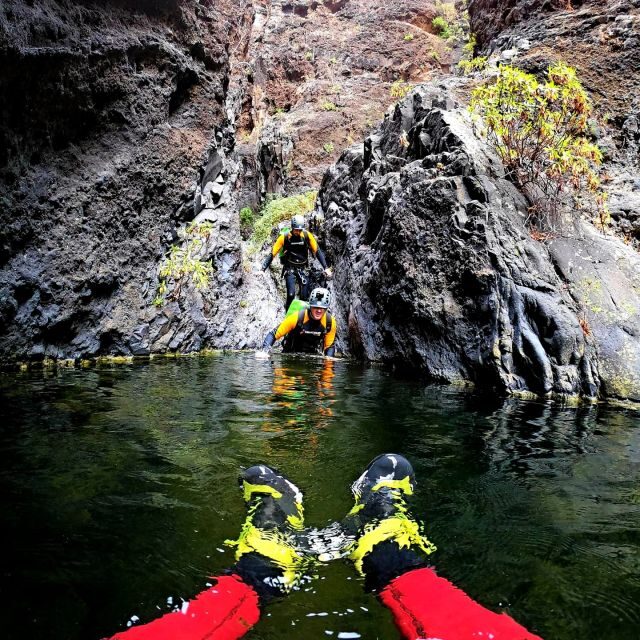 Tenerife: Los Carrizales Water Canyoning Tour - What to Expect During the Tour