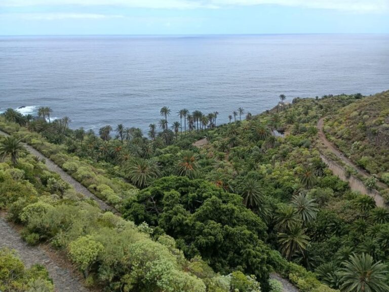 Tenerife: North Coast Landscapes Private Day Tour - The Experience in Practice