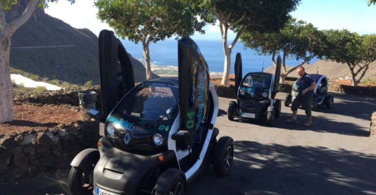 Tenerife: Private Renault Twizy Tour - Authentic Experiences and Traveler Insights