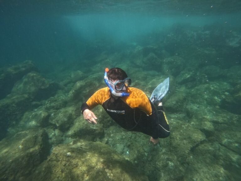 Tenerife: Puerto Colon Snorkel Safari by Speed Boat - What’s Included & What to Bring?