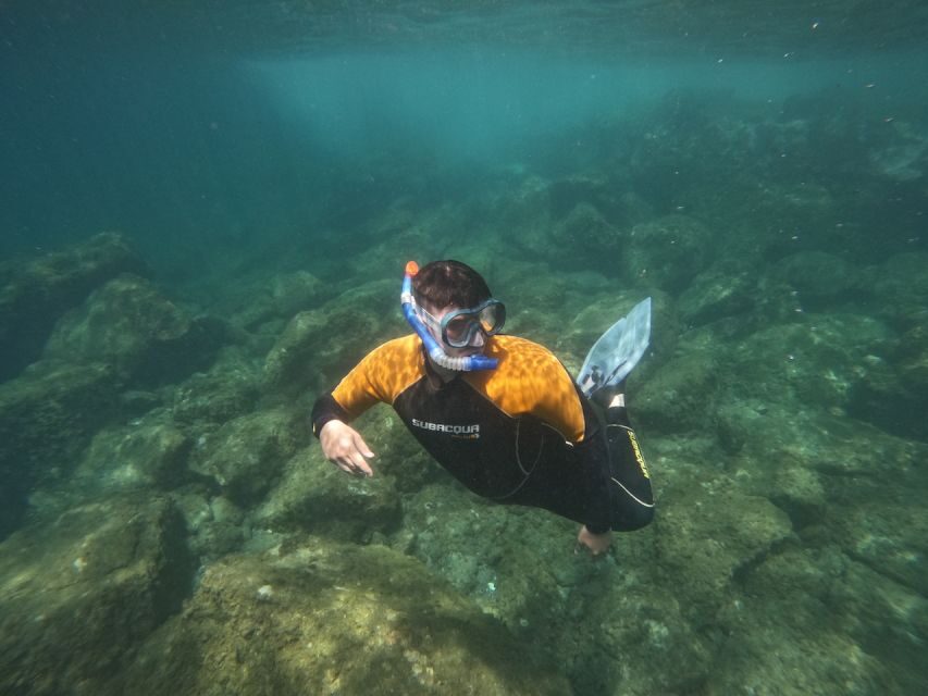 Tenerife: Puerto Colon Snorkel Safari by Speed Boat - What’s Included & What to Bring?