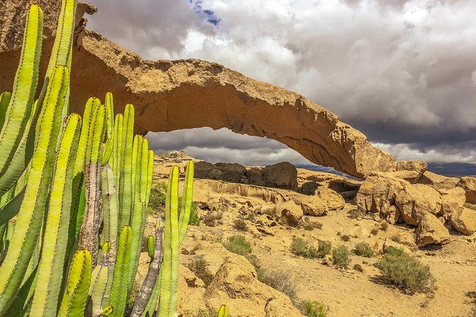 Tenerife South Private Tour: Secrets of the Volcanoes - Exploring Tenerife’s Volcanoes in Style and Comfort