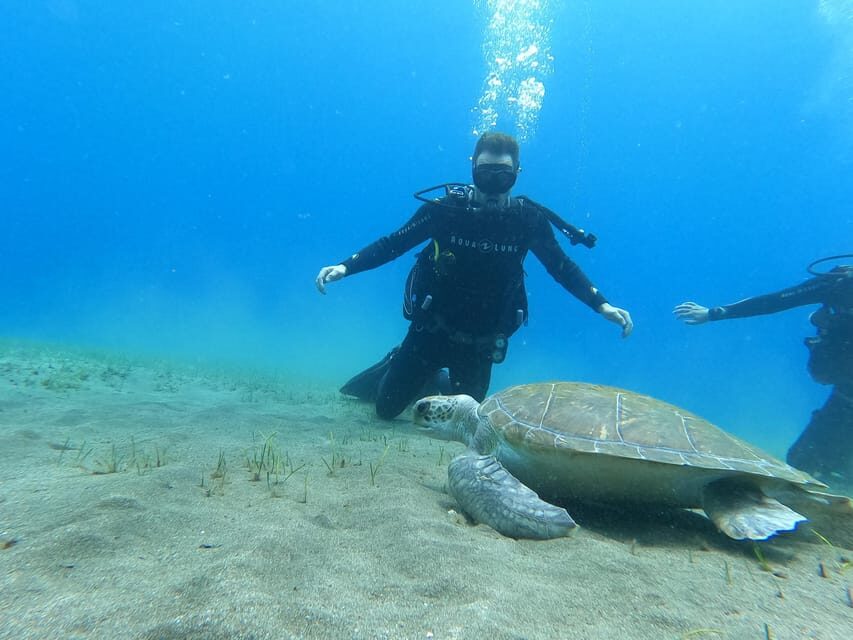 Tenerife south: Scuba Dive for beginners in Adeje - Final Thoughts