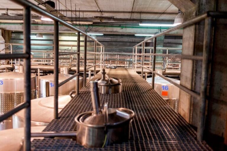 Tenerife Wine: Guided Tour & Tasting with Canarian bites - Who Will Love This Tour?