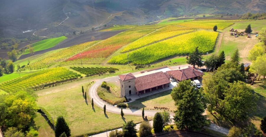 Tenuta Bonzara - Tour and wine tasting on the Bolognese Hills - Who Will Love This Tour?