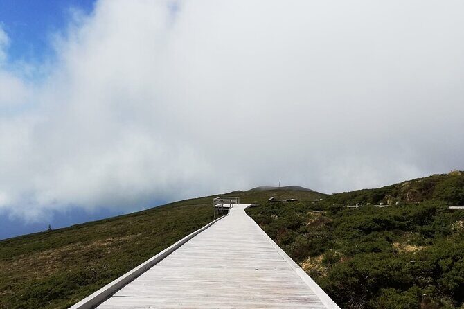 Terceira Island full day tour - Final Thoughts