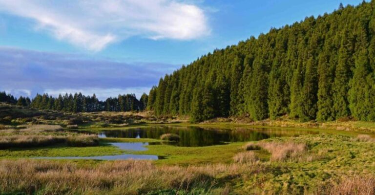 Terceira Island: Mistérios Negros Hiking - The Value of This Experience