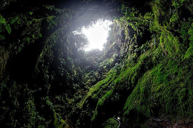 Terceira Island Private Full-Day Slow Tour with Lunch and Pickup - Who Will Love This Tour?