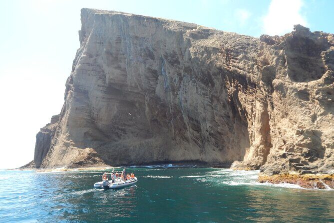 Terceira Island: Snorkeling Wildlife | Protected Areas - Who Should Consider This Snorkeling Tour?