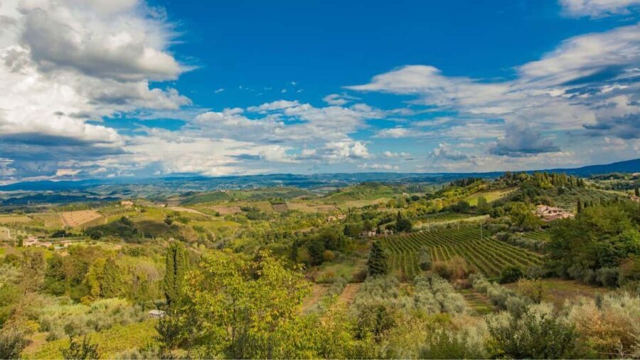 Terricciola Valdera E-Bike Tour + Wine Tasting, Photo Shoot - The Guides: Knowledge, Multilingual Support, and Customer Focus
