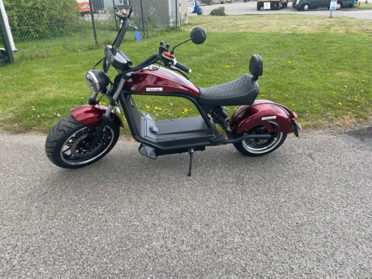 Texel: Explore Texel with a Café Cruiser E-scooter - A Deep Dive into the Café Cruiser E-scooter Experience