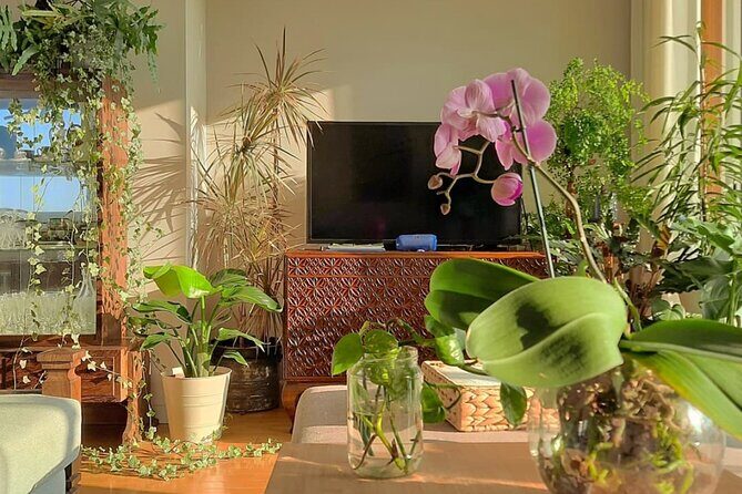 The Art of Eating and Making Friends - The Hosts and Atmosphere